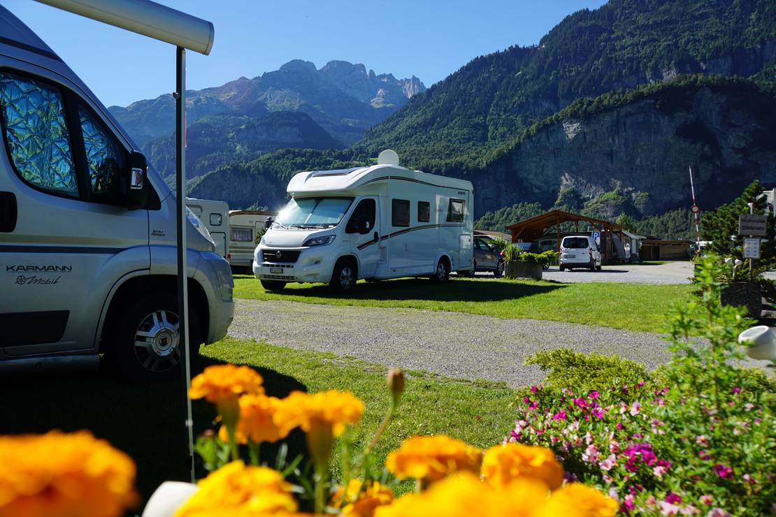 Campsite Alpencamping in Espace Mittelland - camping.info