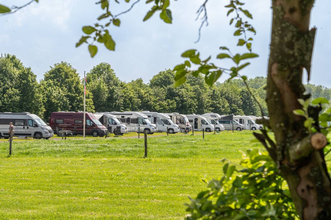 Campingplatz BEESEL AAN DE MAAS in Limburg - camping.info