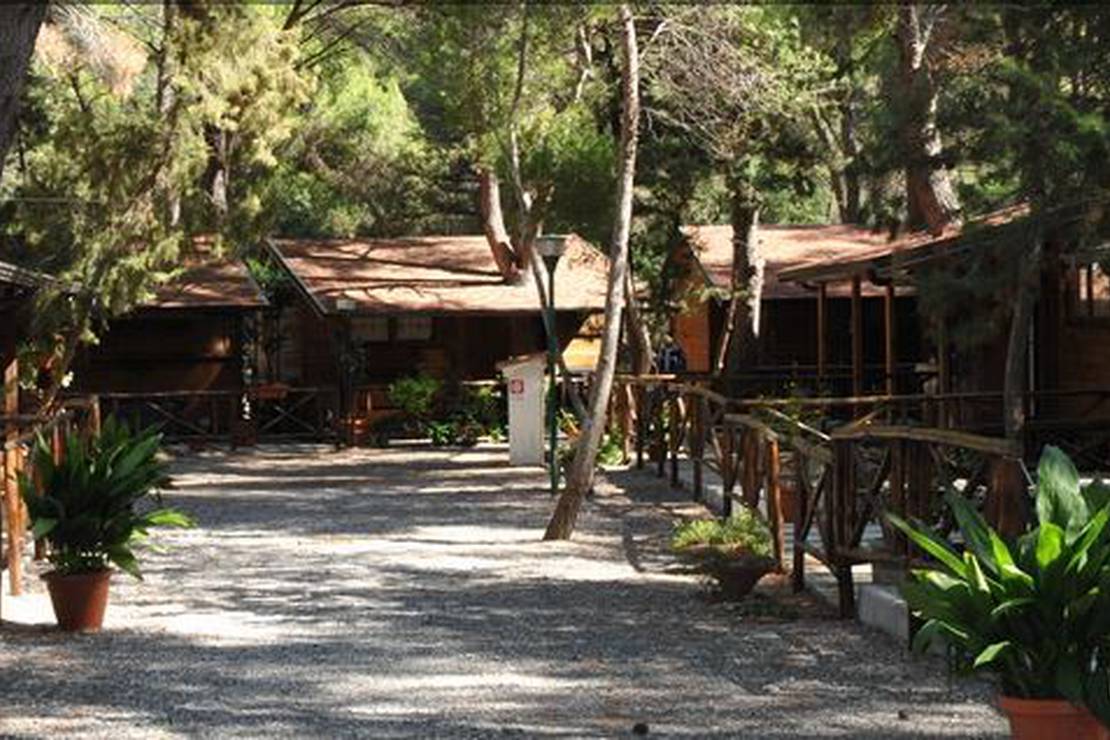 Kamp Campeggio Pineta u Kampanija - camping.info