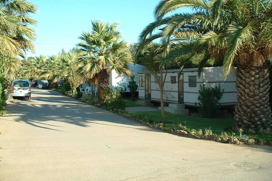 Campingplatz Camping Albufeira in Algarve - camping.info