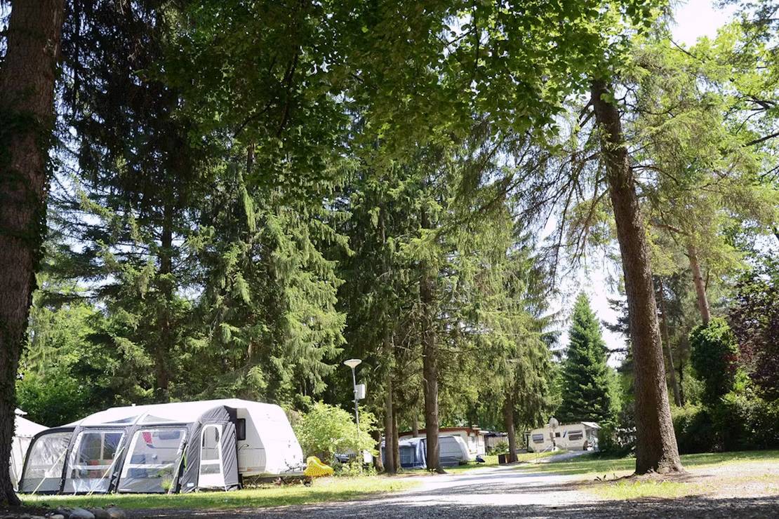 Campingplatz Camping Bad Ragaz in Ostschweiz - camping.info