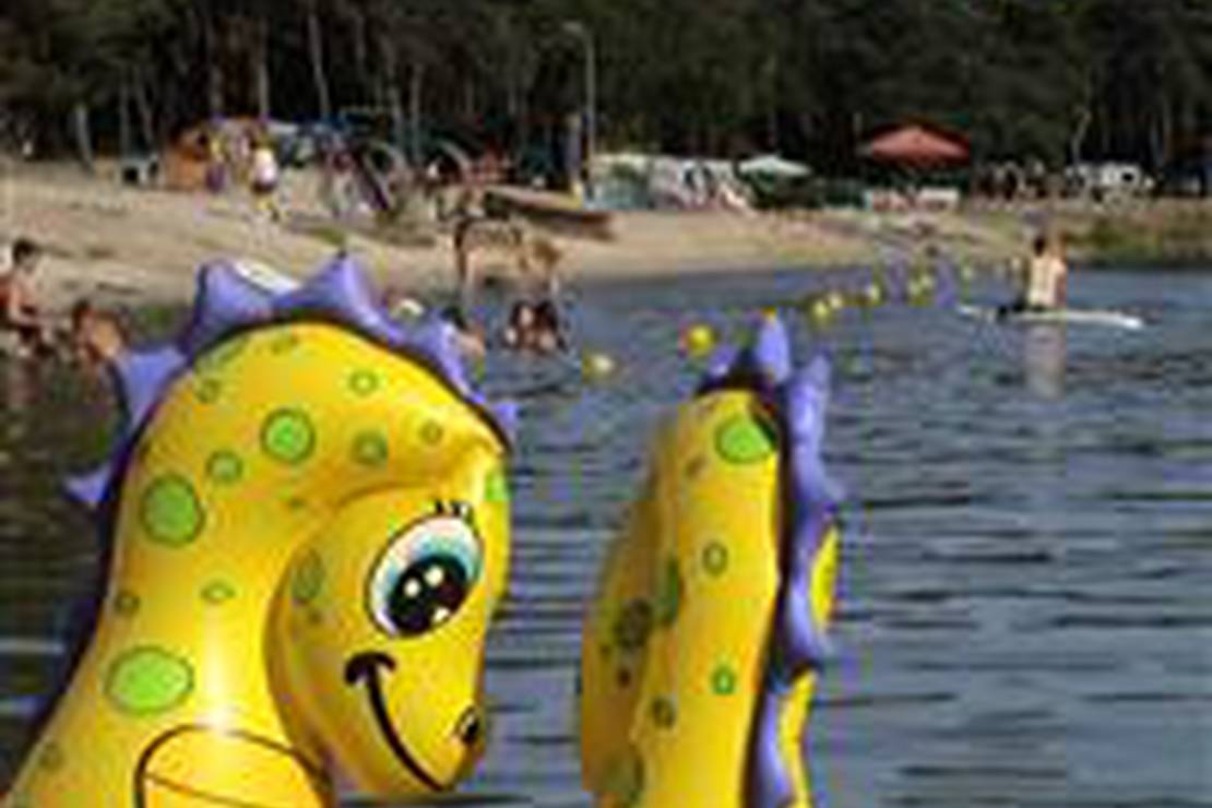 Campsite Camping Boekels Ven in North Brabant - camping.info