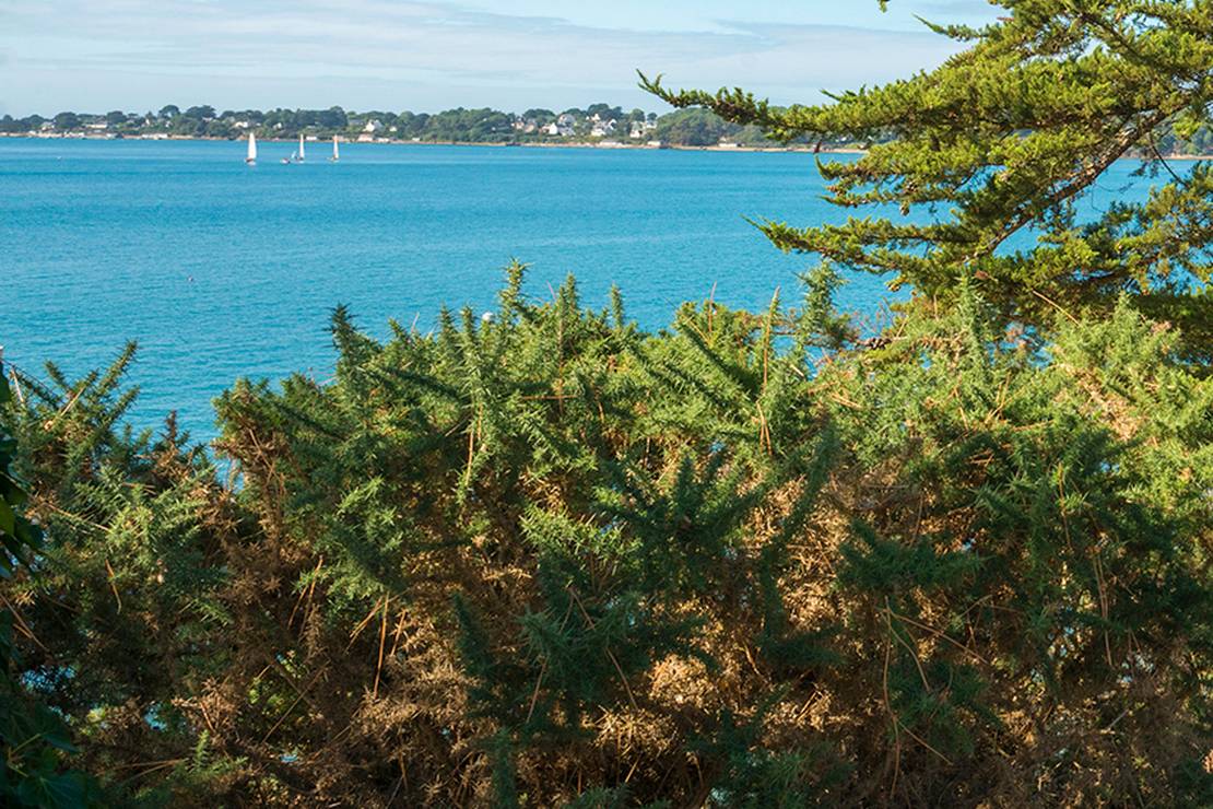 Campingplads Penn Mar i Bretagne - camping.info