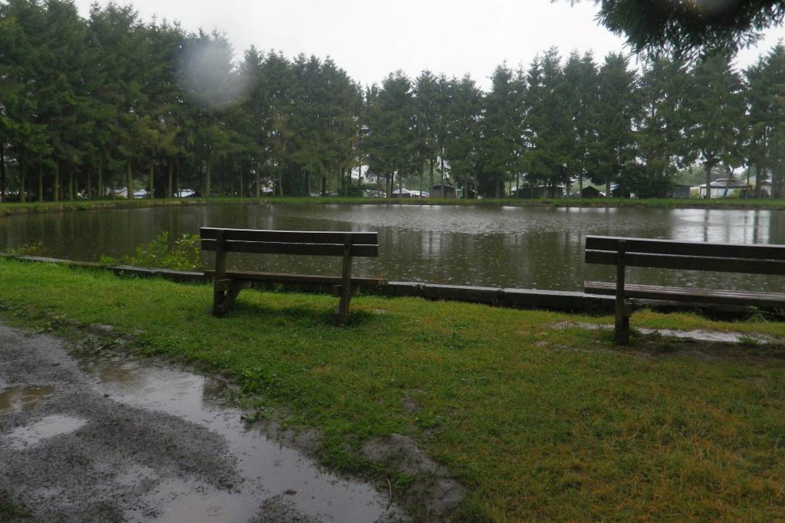 Campsite Camping Le Pachy in Wallonia - camping.info