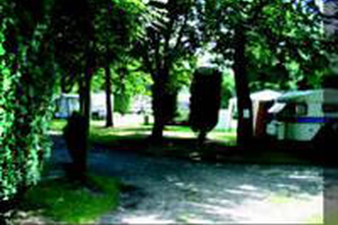 Campingplatz Camping Mareveld in Limburg - camping.info