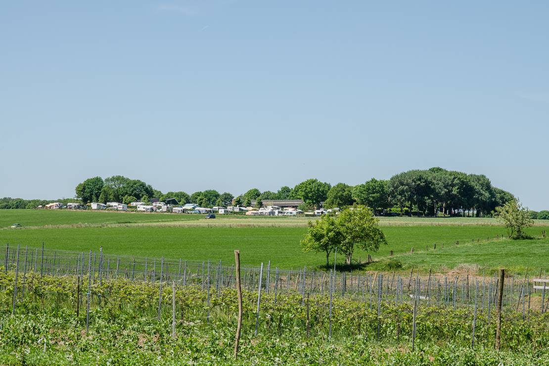Campingplatz Camping Op den Stuwwal in Gelderland - camping.info