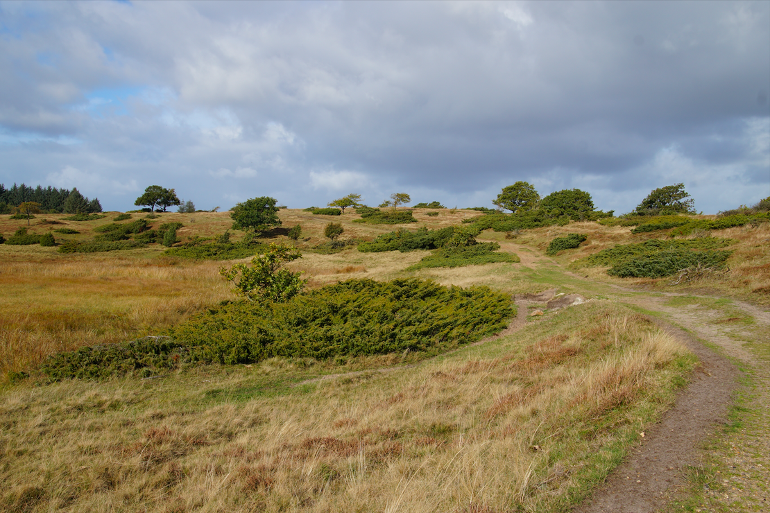 Campsite Hedelandets Camping in West Jutland - camping.info