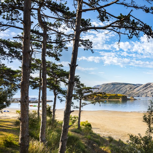 Rab Camping und Campingplätze - camping.info