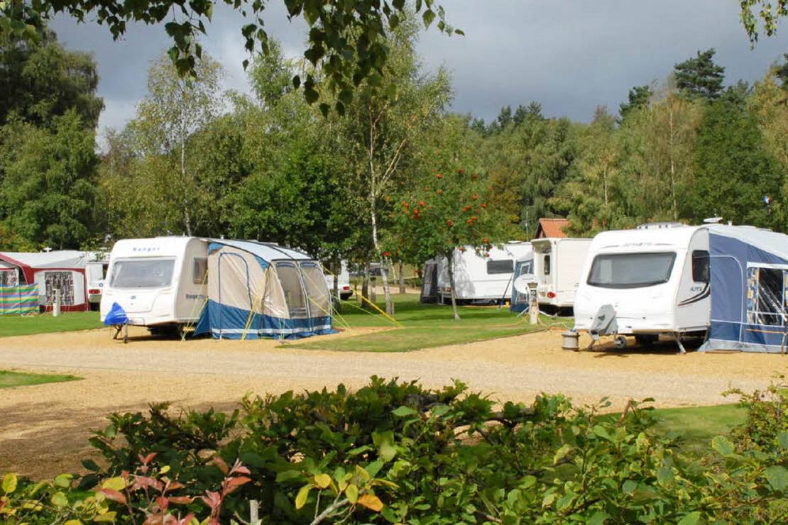 Campingplatz The Sandringham Estate Caravan Club Site in East of ...